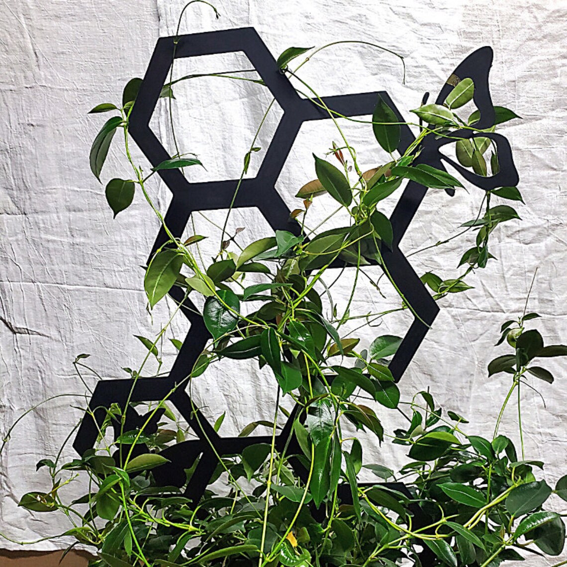 Honeycomb Plant Trellis, Butterfly Plant Trellis, Metal Plant Support ...