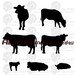 Cattle Herd Svg, Cow Herd Silhouette, Cow Dxf - Etsy