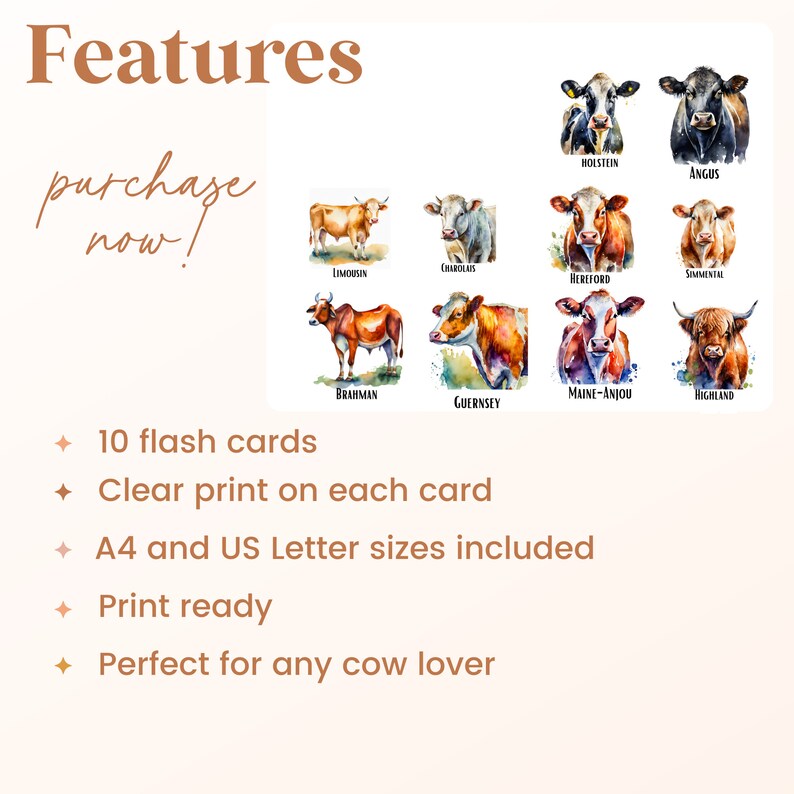 Cow Breed Flash Cards Digital Download Educational Farming - Etsy Australia