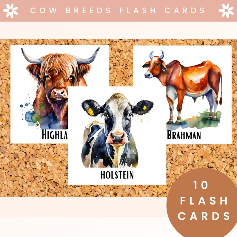 Cow Breed Flash Cards Digital Download Educational Farming - Etsy Australia