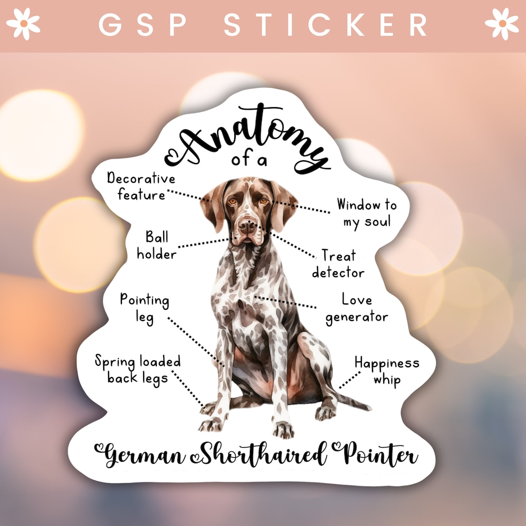 GSP Sticker Anatomy of a German Shorthaired Pointer Sticker Funny Dog ...