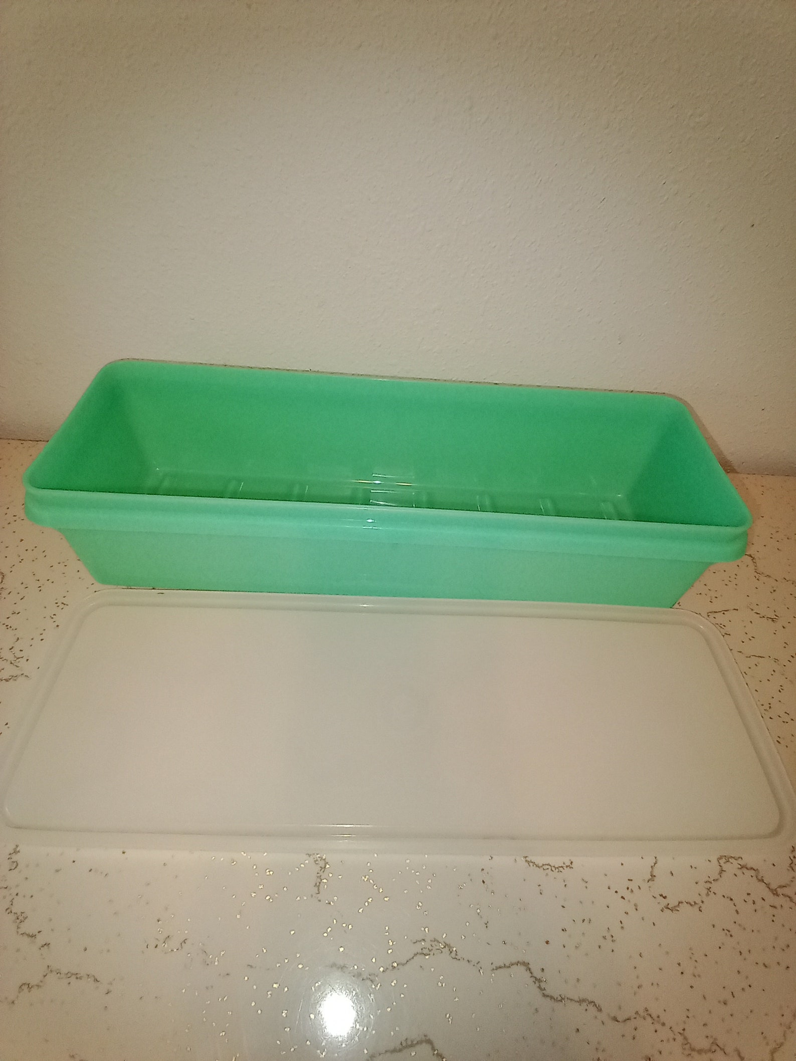 Vintage Green Tupperware Vegetable Crisper/Keeper Celery | Etsy