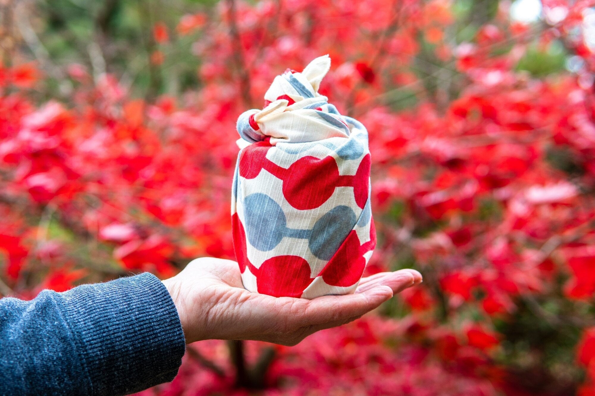 Paper & Party Supplies Paper Dango Furoshiki 48 Yumeji Takehisa Gift ...