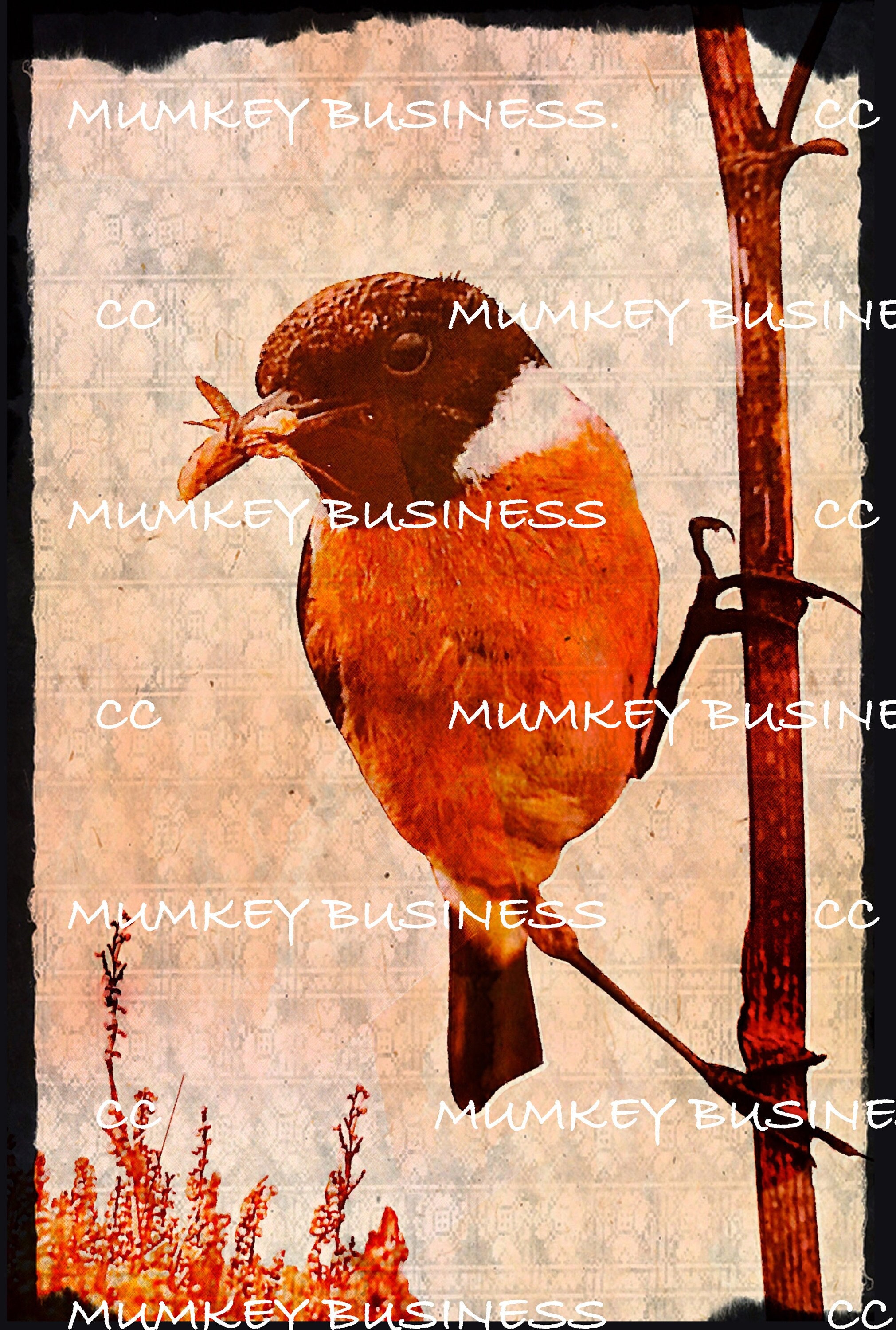 Cute Bird Printable PDF Printable Digital Download Printable Image ...