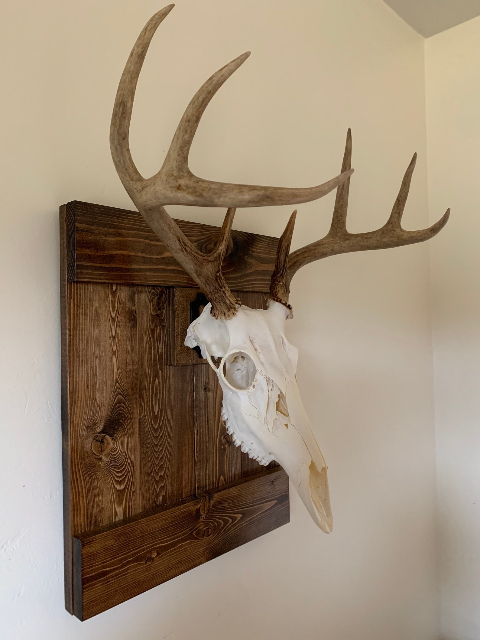 European Mount Plaque Template