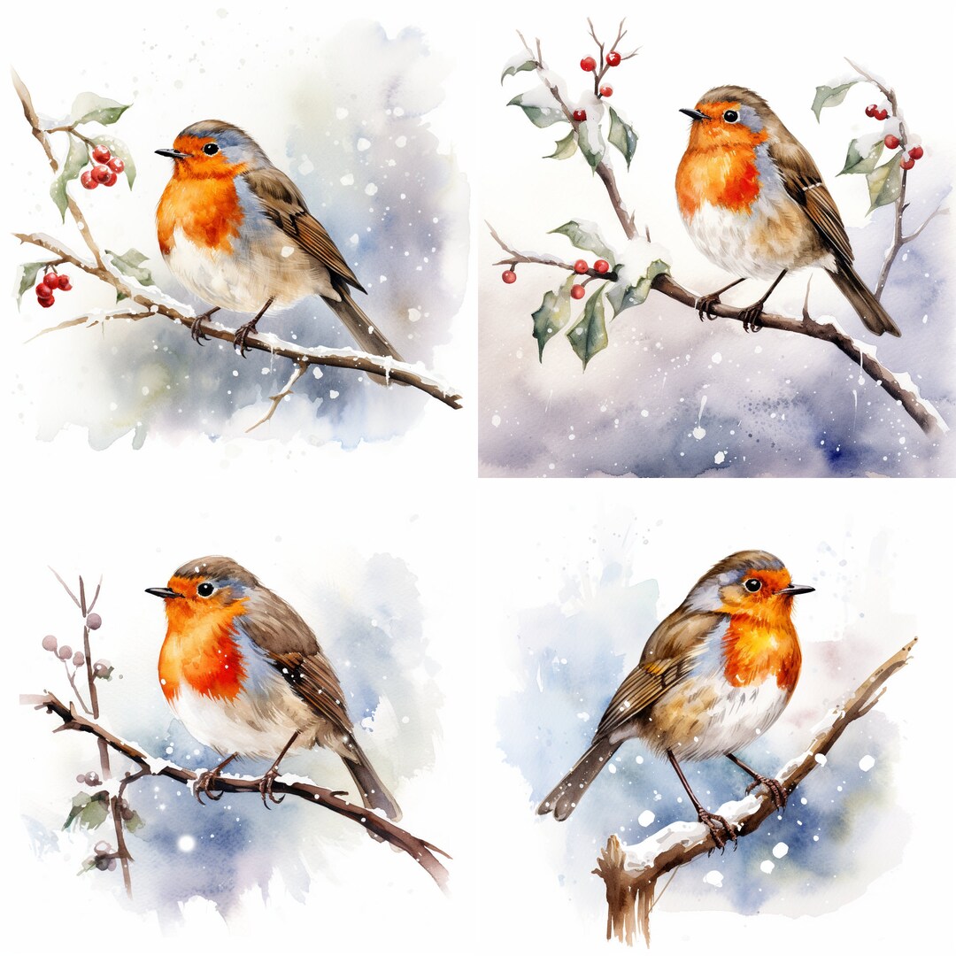 Watercolor Robin PNG Clipart Robin Watercolor Christmas Robin Print ...