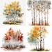 Watercolor Birch Tree PNG Birch Clipart Birch Tree Watercolor Birch ...