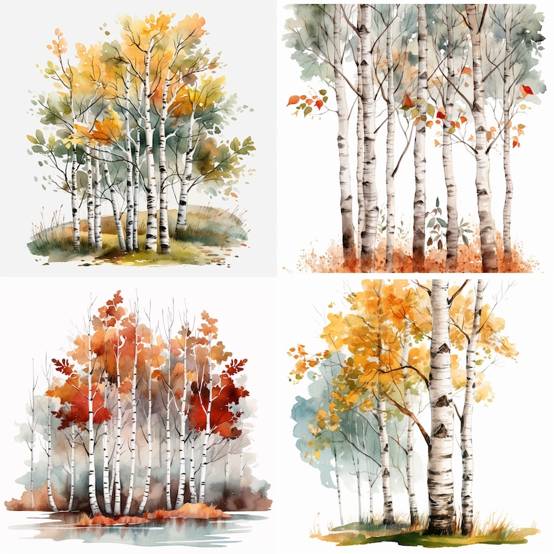 Watercolor Birch Tree PNG Birch Clipart Birch Tree Watercolor Birch ...