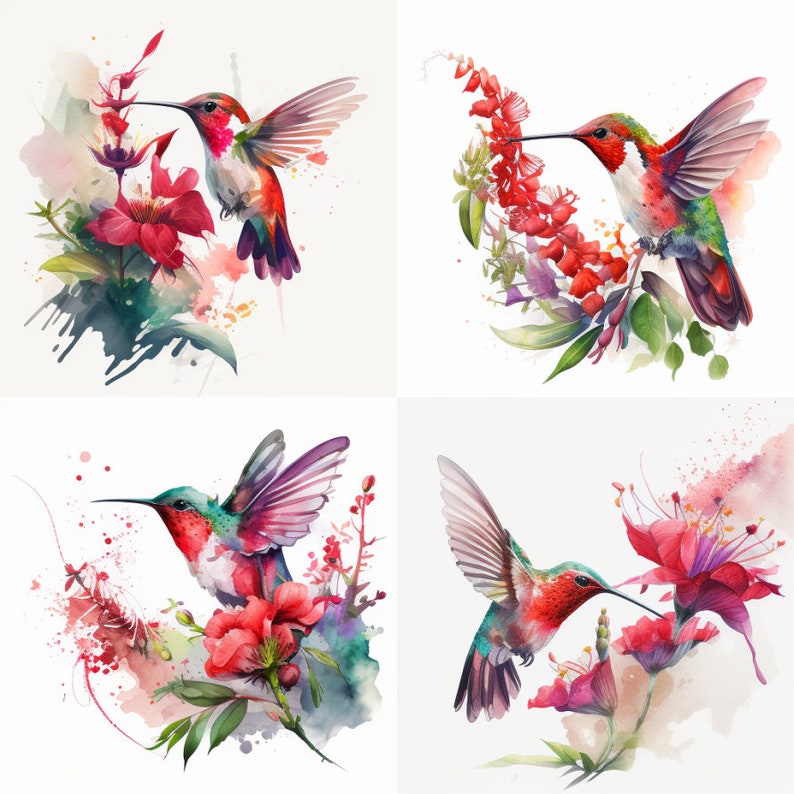 Hummingbird Watercolor, Digital Downloads, Hummingbird Clipart, Humming ...