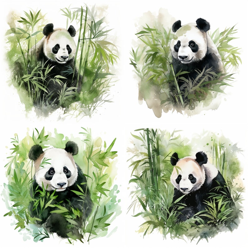 Panda Watercolor PNG Bamboo Watercolor Print Panda Wall Art Panda ...