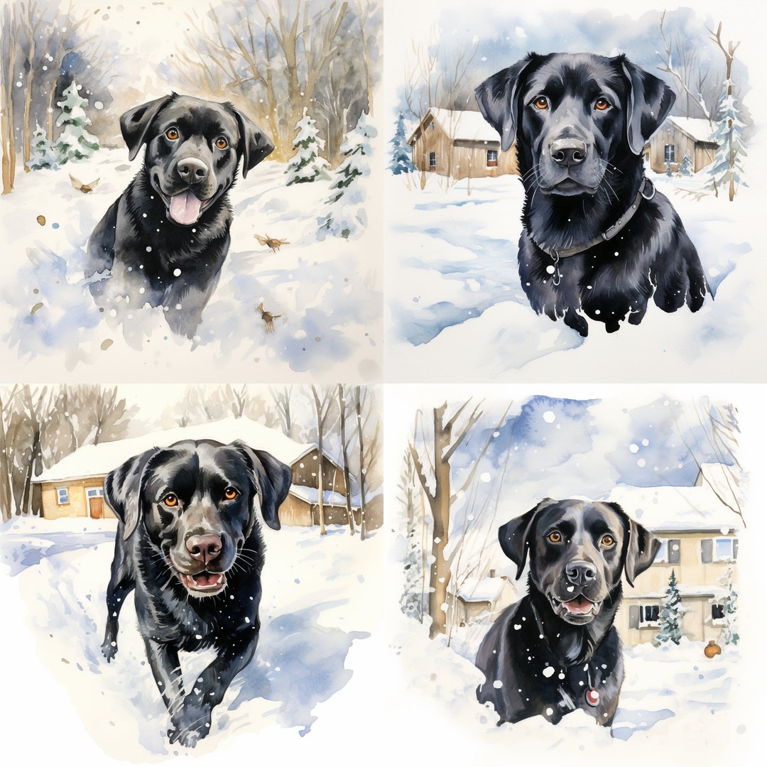 Watercolor Lab in Snow PNG Black Lab Clipart Black Lab Watercolor Lab ...
