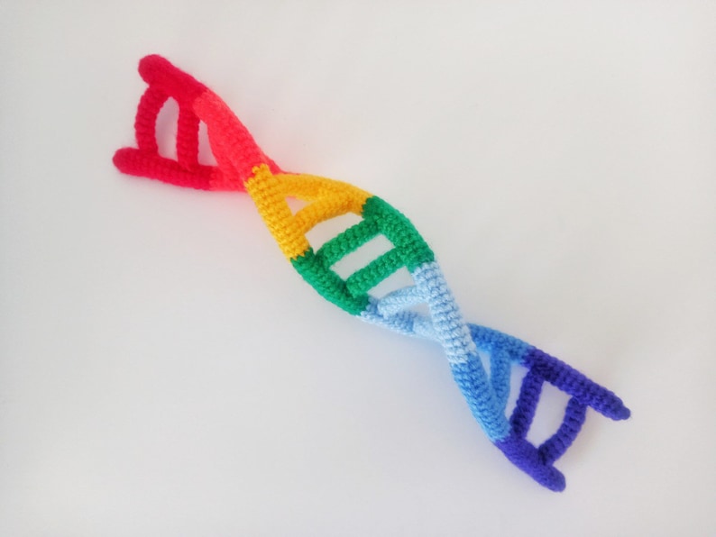 DNA Crochet DNA Handmade Crochet Crochet DNA Toy Handmade - Etsy