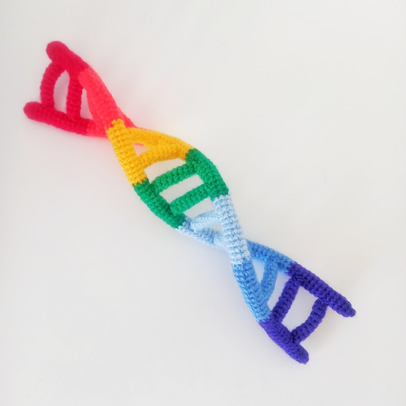 DNA Crochet Pattern DNA Handmade Crochet Pattern DNA Toy | Etsy