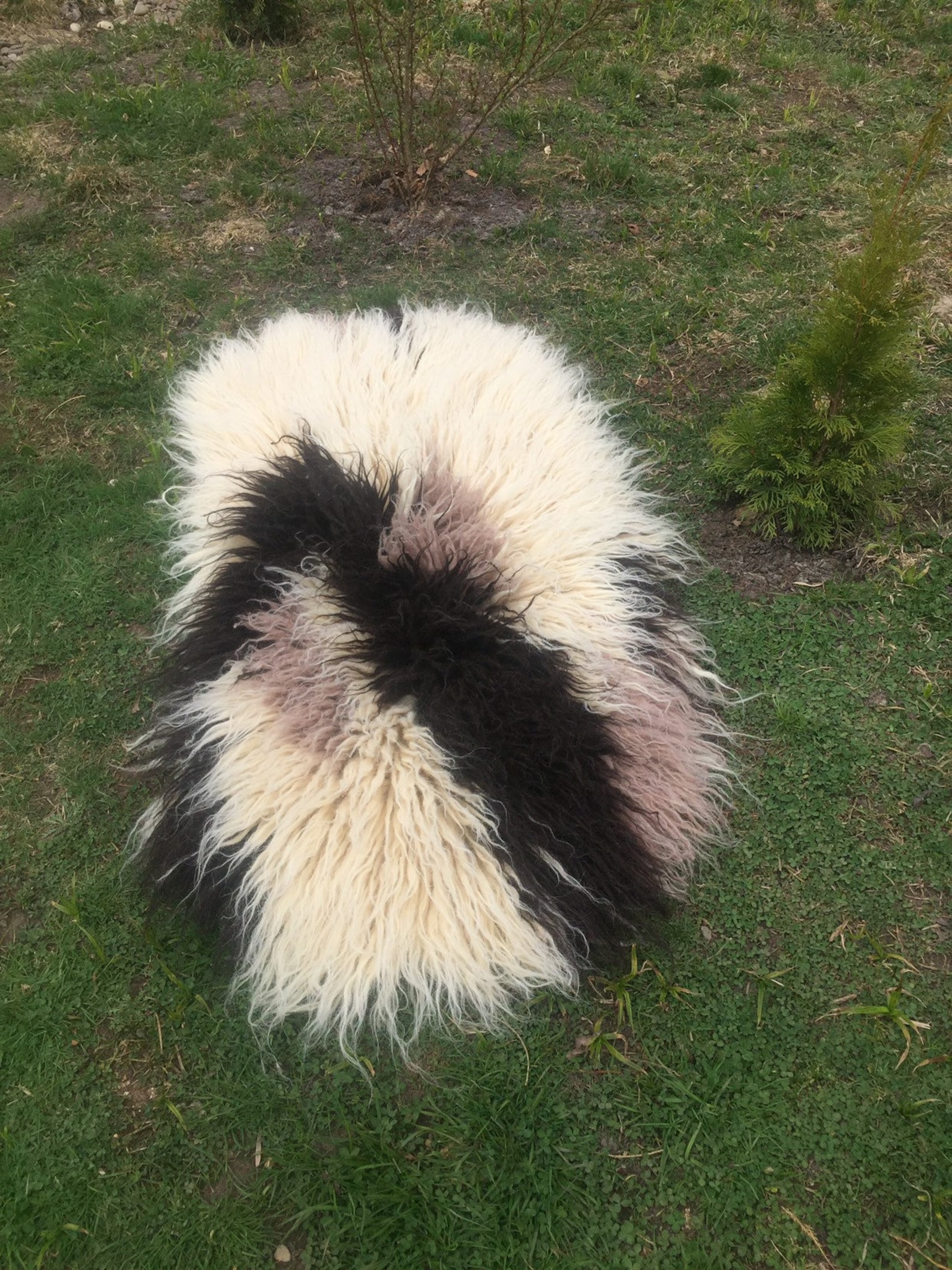 Fluffy Rug-fluffy Woven Cover/fireside Rug/wool Blanket - Etsy