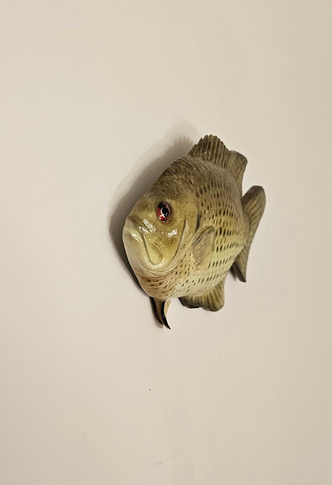Composite Reproduction 9" Rock Bass Plaque - Etsy
