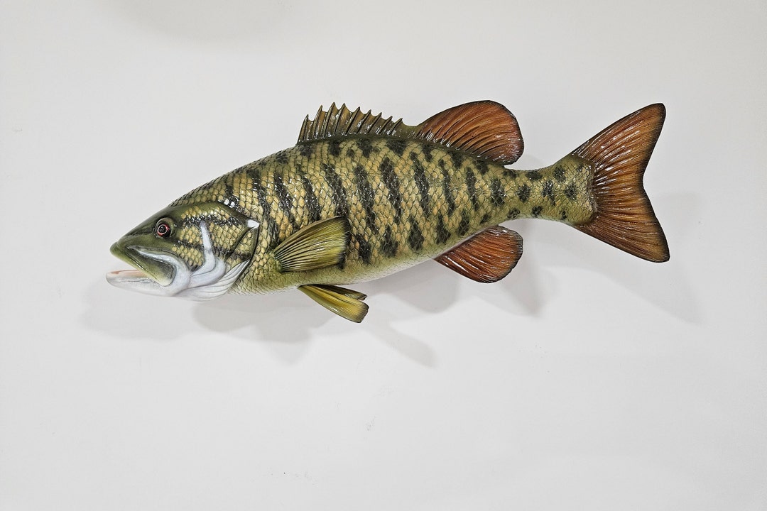 Composite Reproduction 19" Small Mouth Bass Sculpture - Etsy