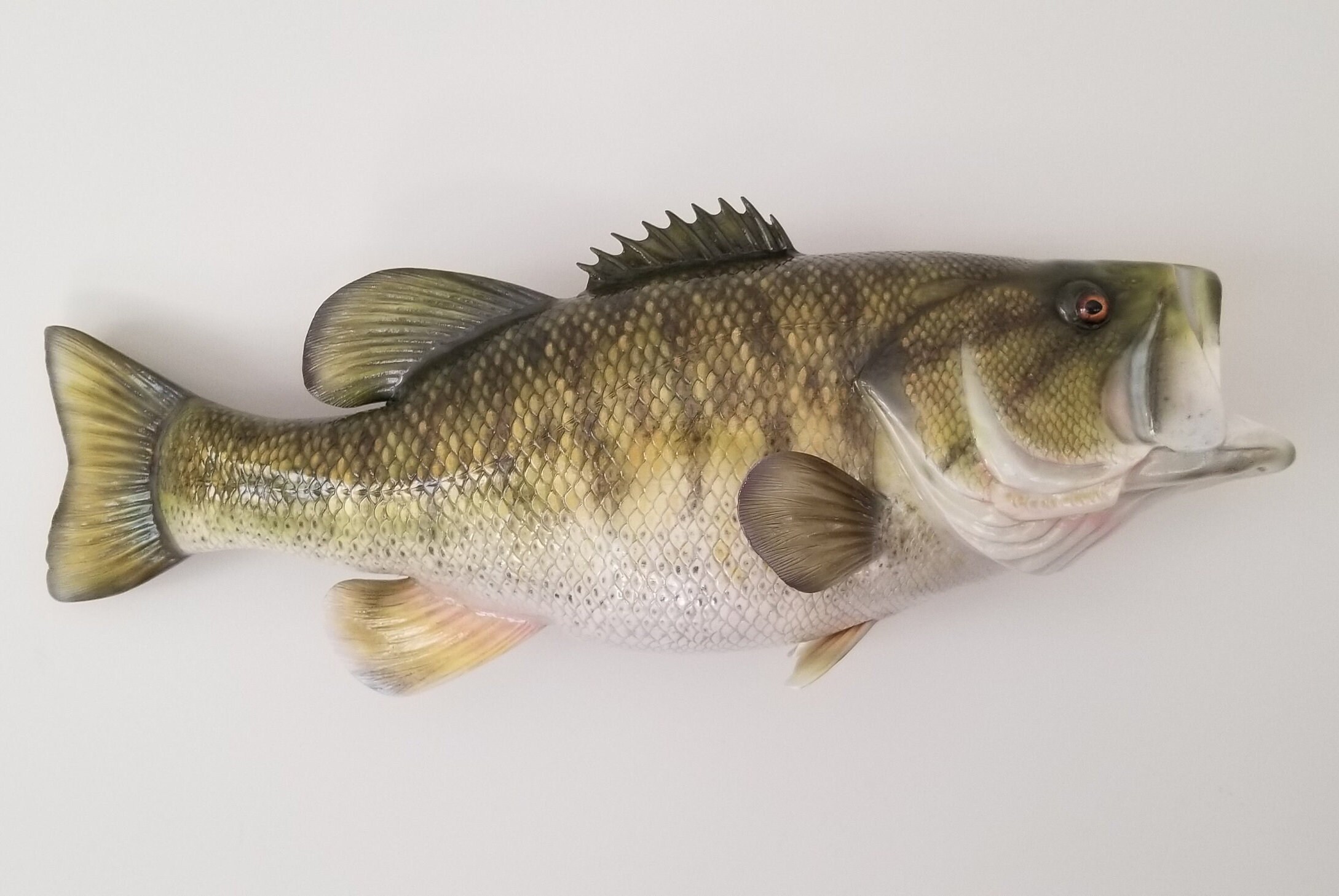Composite Reproduction 19.5 Large Mouth Bass Sculpture - Etsy