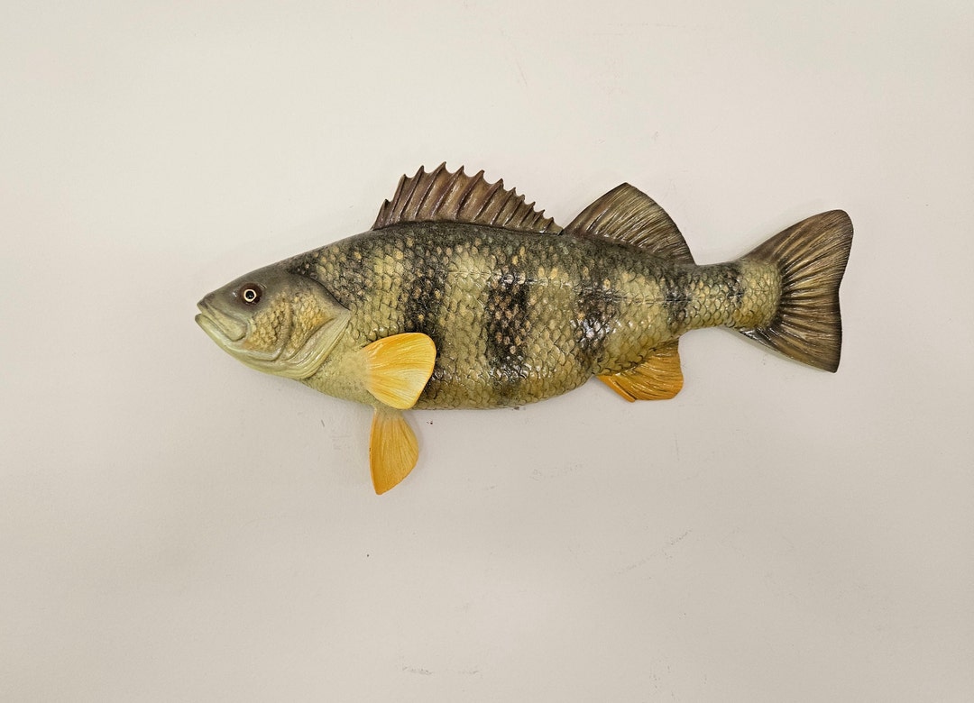 Composite Reproduction 10" Yellow Perch Plaque - Etsy