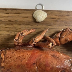 TAXIDERMY LOBSTER Vintage Mounted Sign Rustic Beach House Decor P.E ...