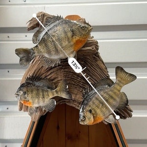 Real Skin Beautiful Sunfish Fish Taxidermy Wall Mount - Etsy