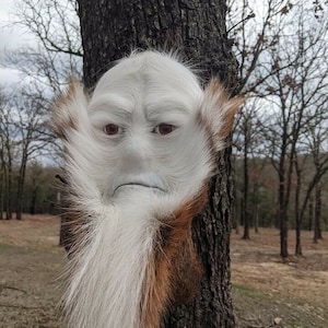 Ass-squatch / Deer Butt Taxidermy Mount. - Etsy