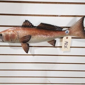 Beautiful Reproduction Redfish Taxidermy Wall Mount Art Wildlife - Etsy