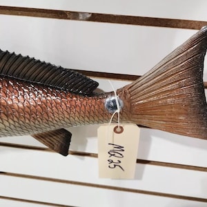 Beautiful Reproduction Redfish Taxidermy Wall Mount Art Wildlife - Etsy
