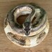 Real Python Taxidermy Mount - Etsy