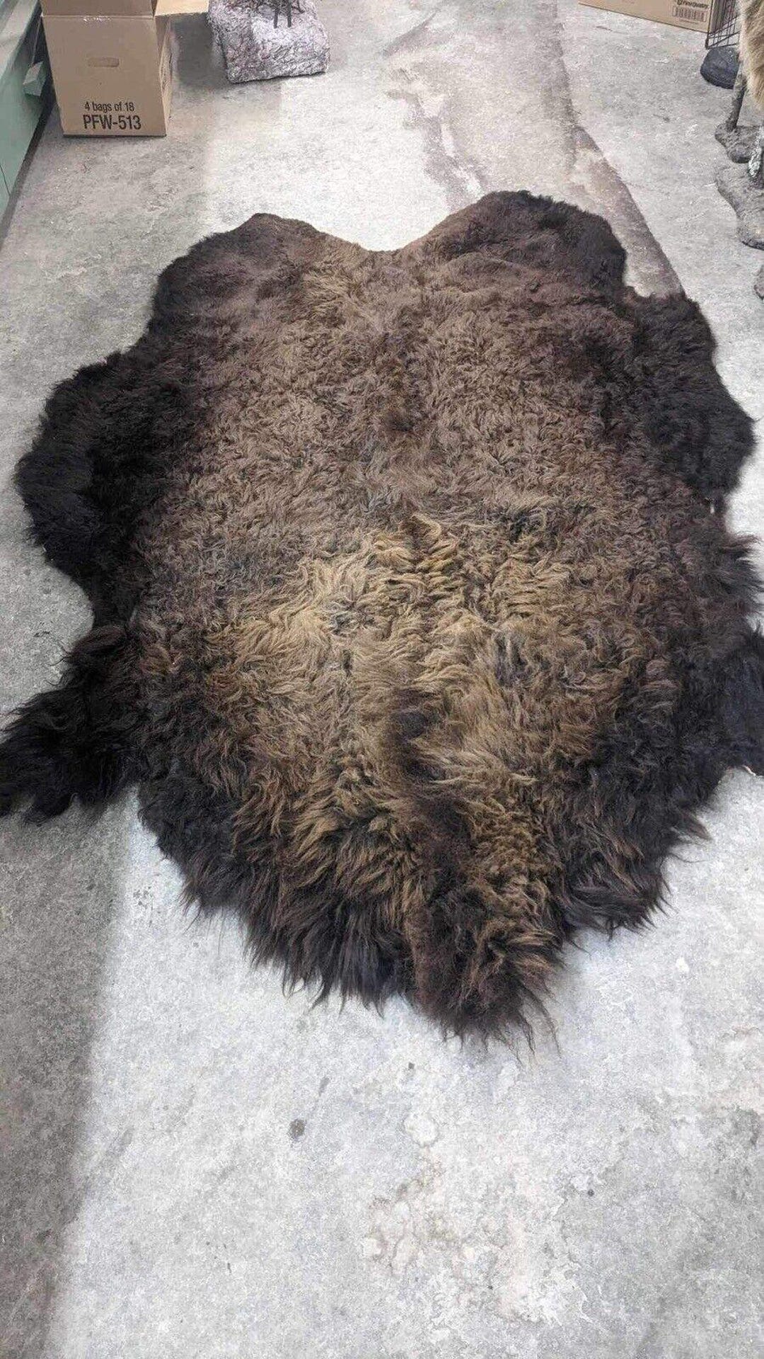 Real Buffalo | Bison Fresh Tanned Taxidermy Rug Hide Brand New - Etsy