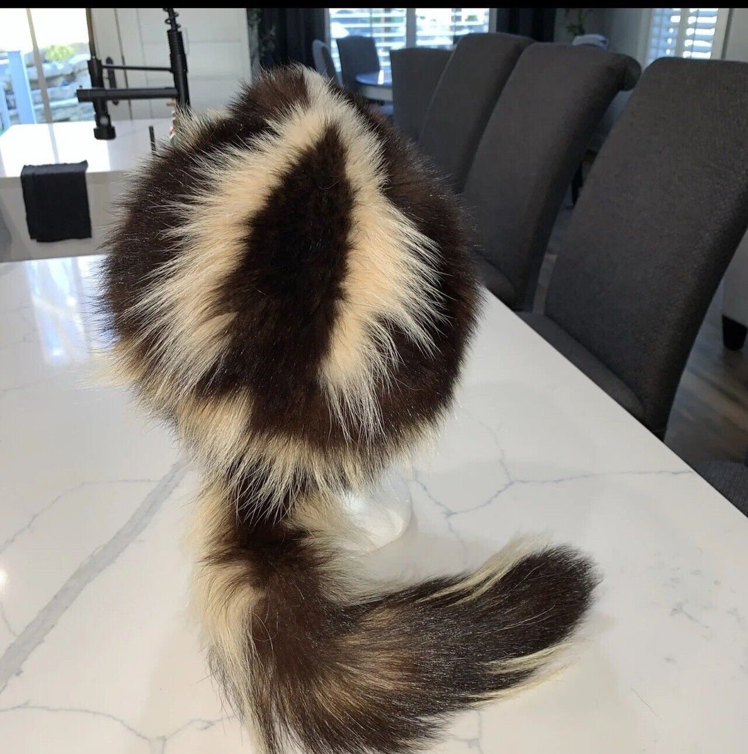 Stunning Long Fur White Fluffly SKUNK Hat Taxidermy Mount - Etsy