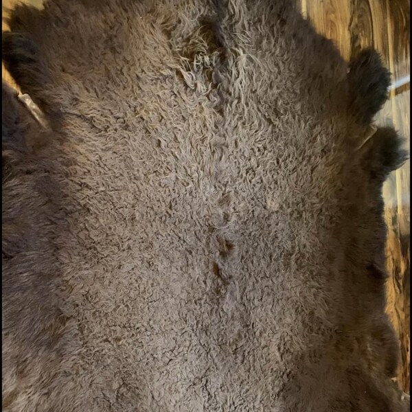 Buffalo Hide - Etsy
