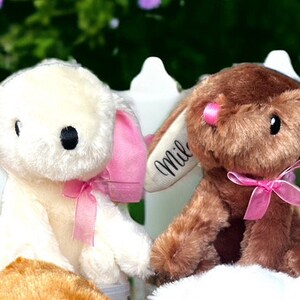 Personalized Easter Plush, Personalized Easter Bunny, Easter Basket ...
