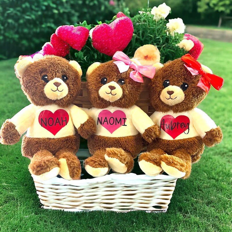 Valentine Teddy Bear - Etsy