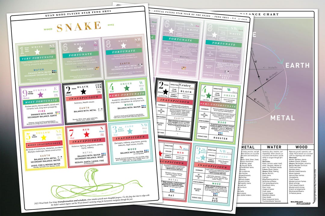 2025 Wood Snake Feng Shui Flying Star Charts for Home Improvement for ...