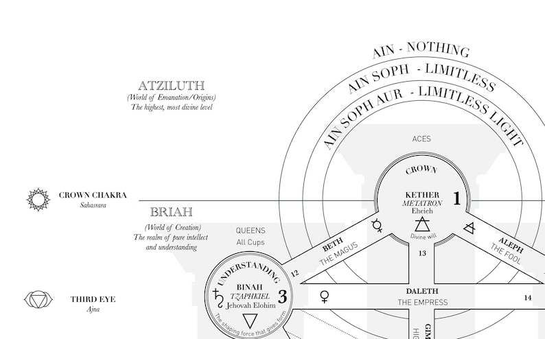 Tree of Life Poster Simple Plain White With Maximum Information on ...
