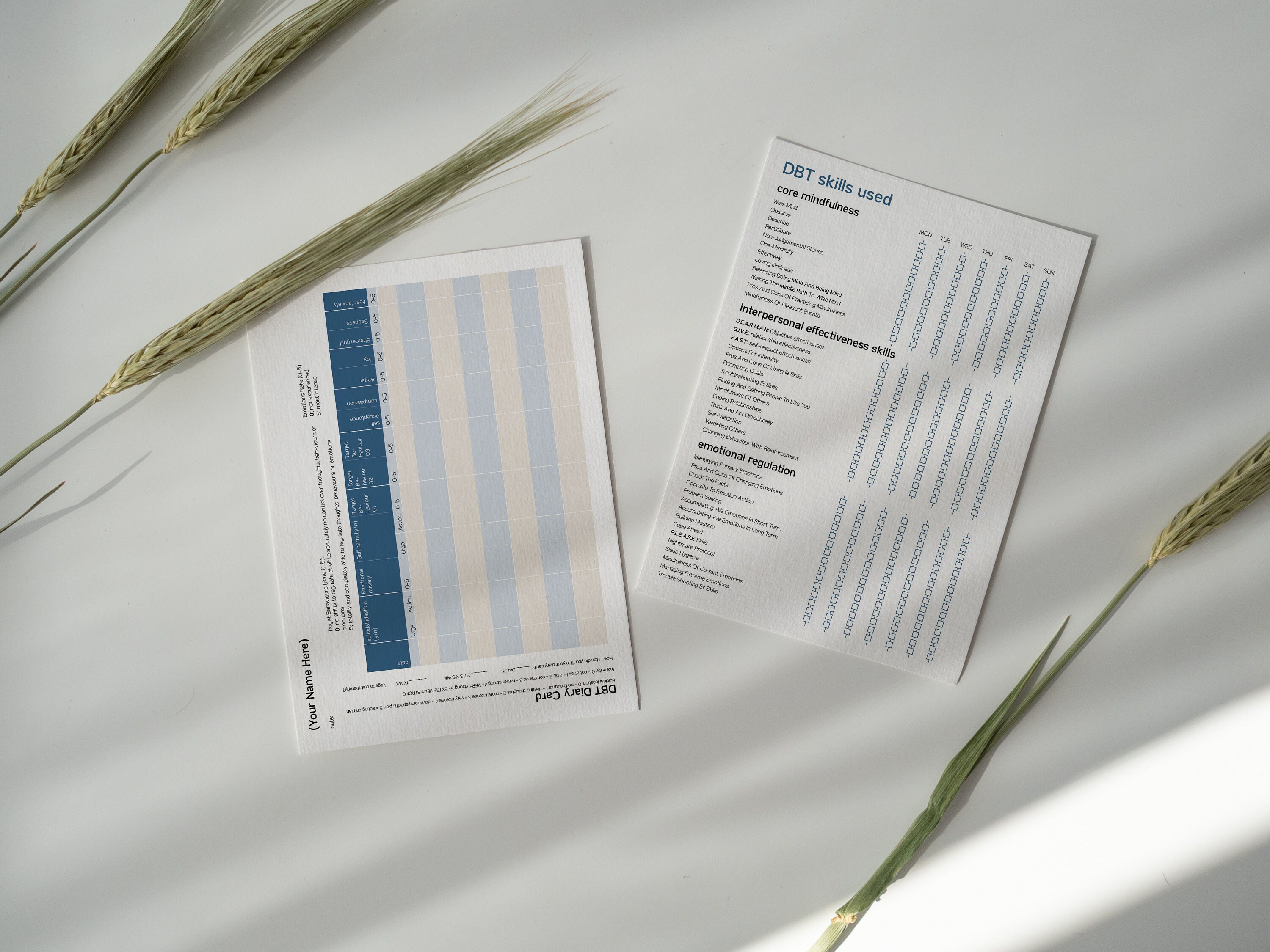 DBT Bundle: Dbt Cheatsheet, DBT Skills, Borderline, Bpd, Dbt Megabundle ...