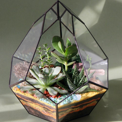 Geometric Glass Terrarium flower Bud Succulent - Etsy