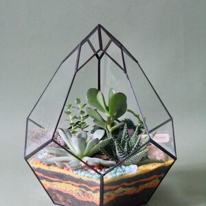 Geometric Glass Terrarium "flower Bud" – Unique Succulent Plant Gift ...