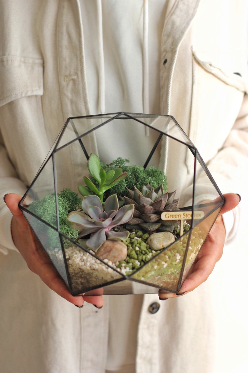 Glass Terrarium brilliant Succulent Florarium/ - Etsy