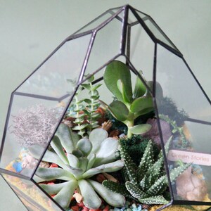 Geometric Glass Terrarium "flower Bud" – Unique Succulent Plant Gift ...