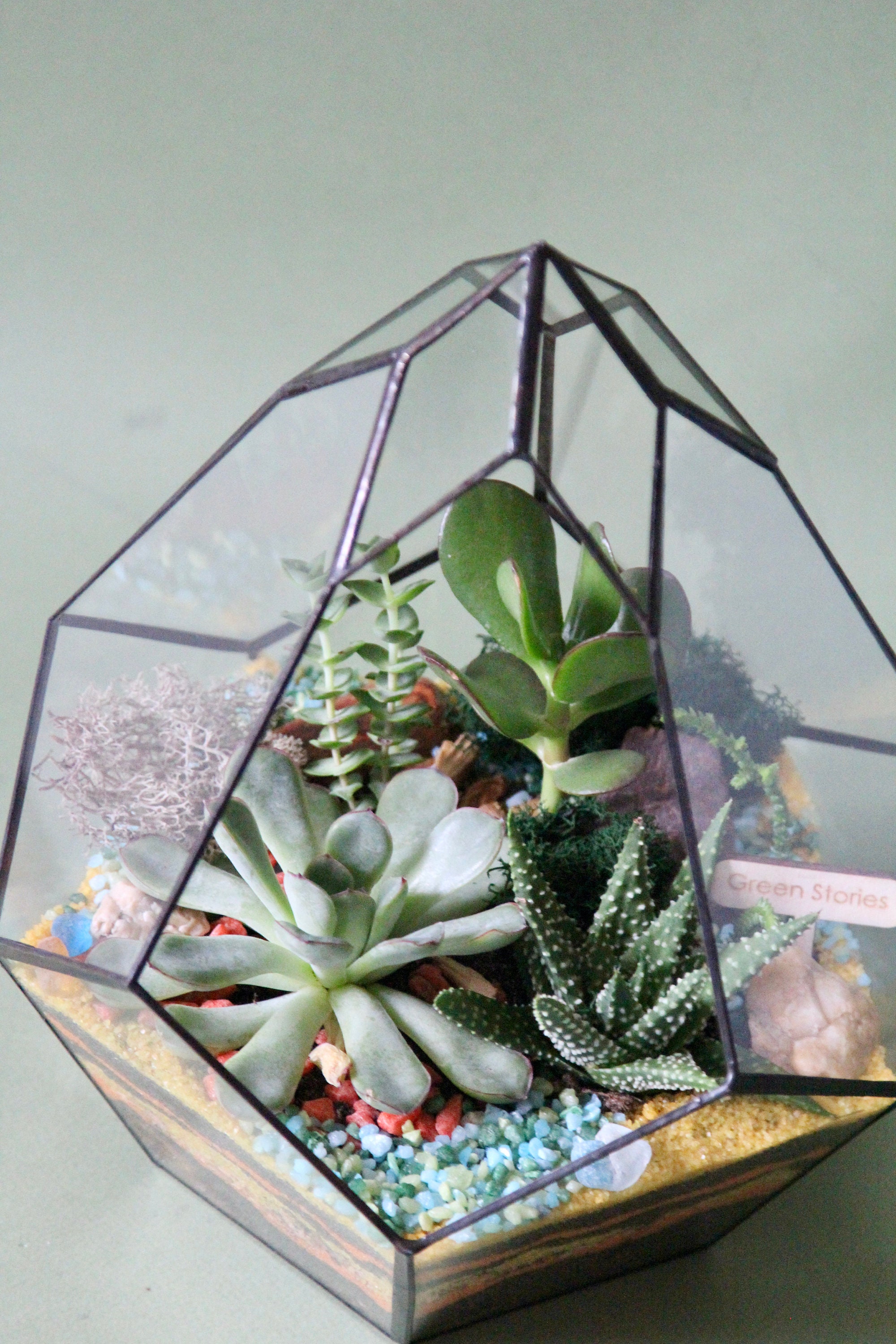 Geometric Glass Terrarium flower Bud Succulent - Etsy