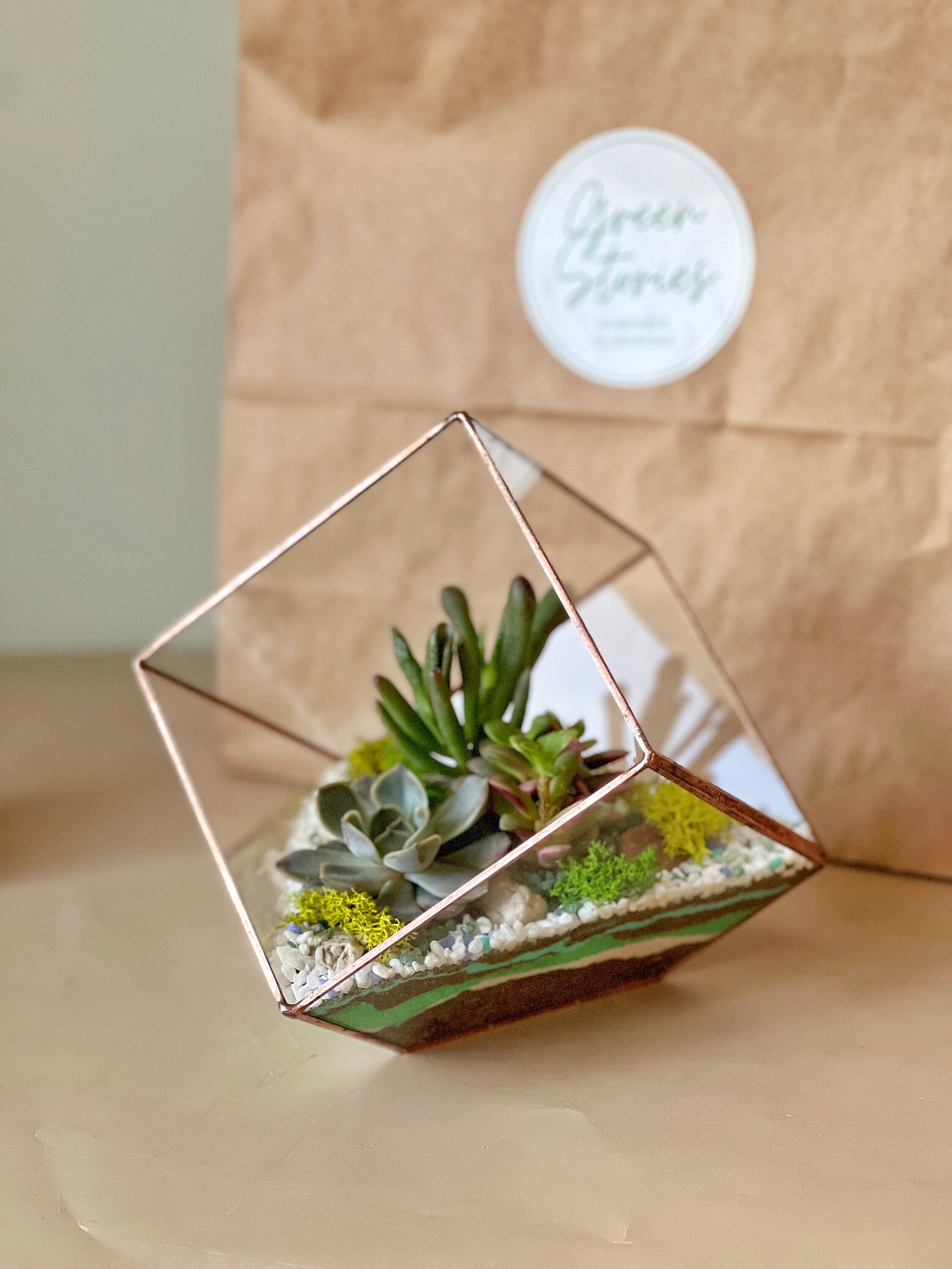 Handmade Glass Cube Terrarium – Geometric Succulent Planter - Etsy