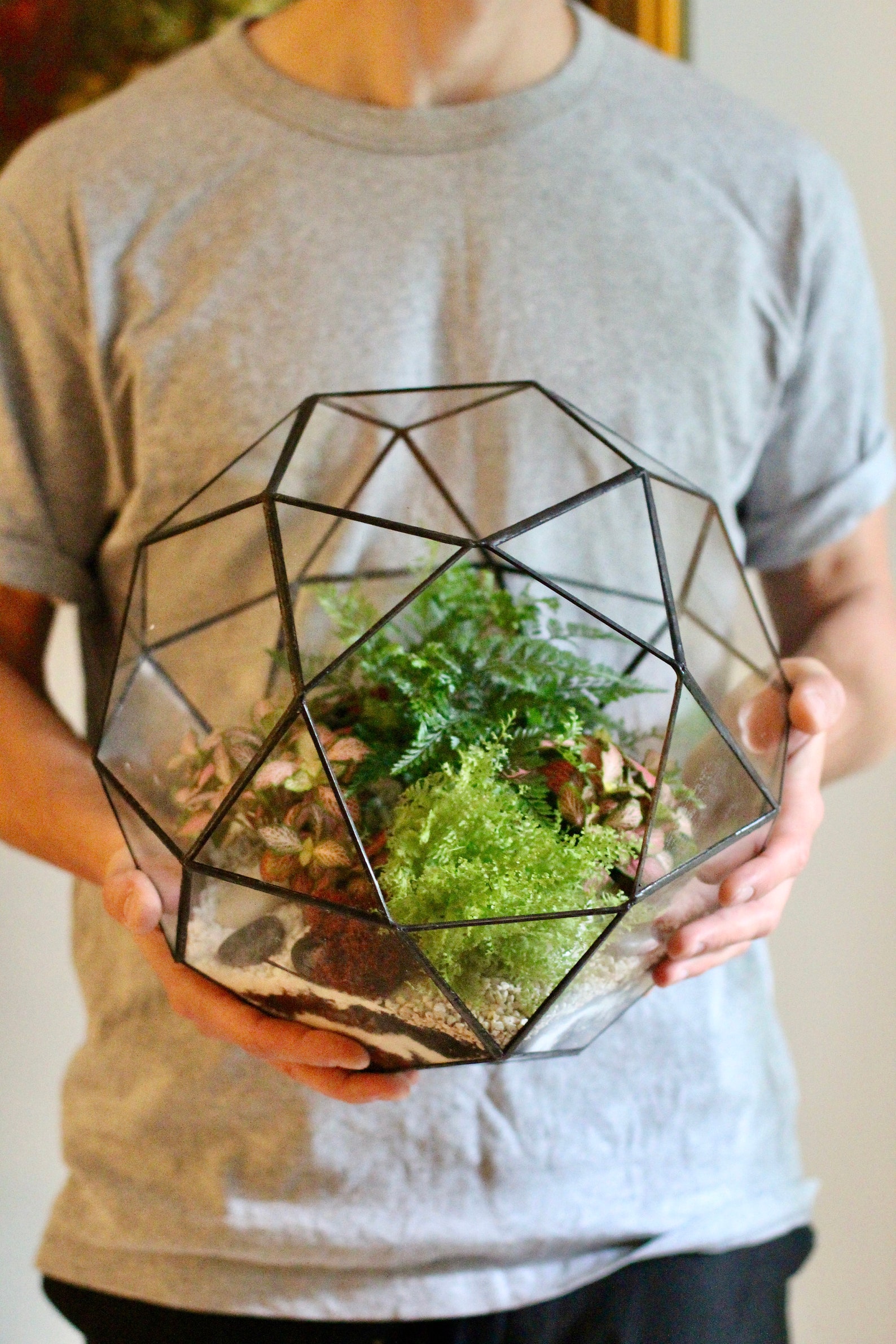 Succulent Glass Terrarium Florarium mars Home - Etsy