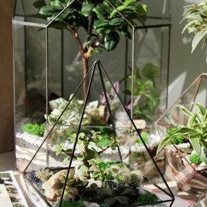 Glass Terrarium "pyramid" – Home Decor, Home Gift for Plant Lover ...