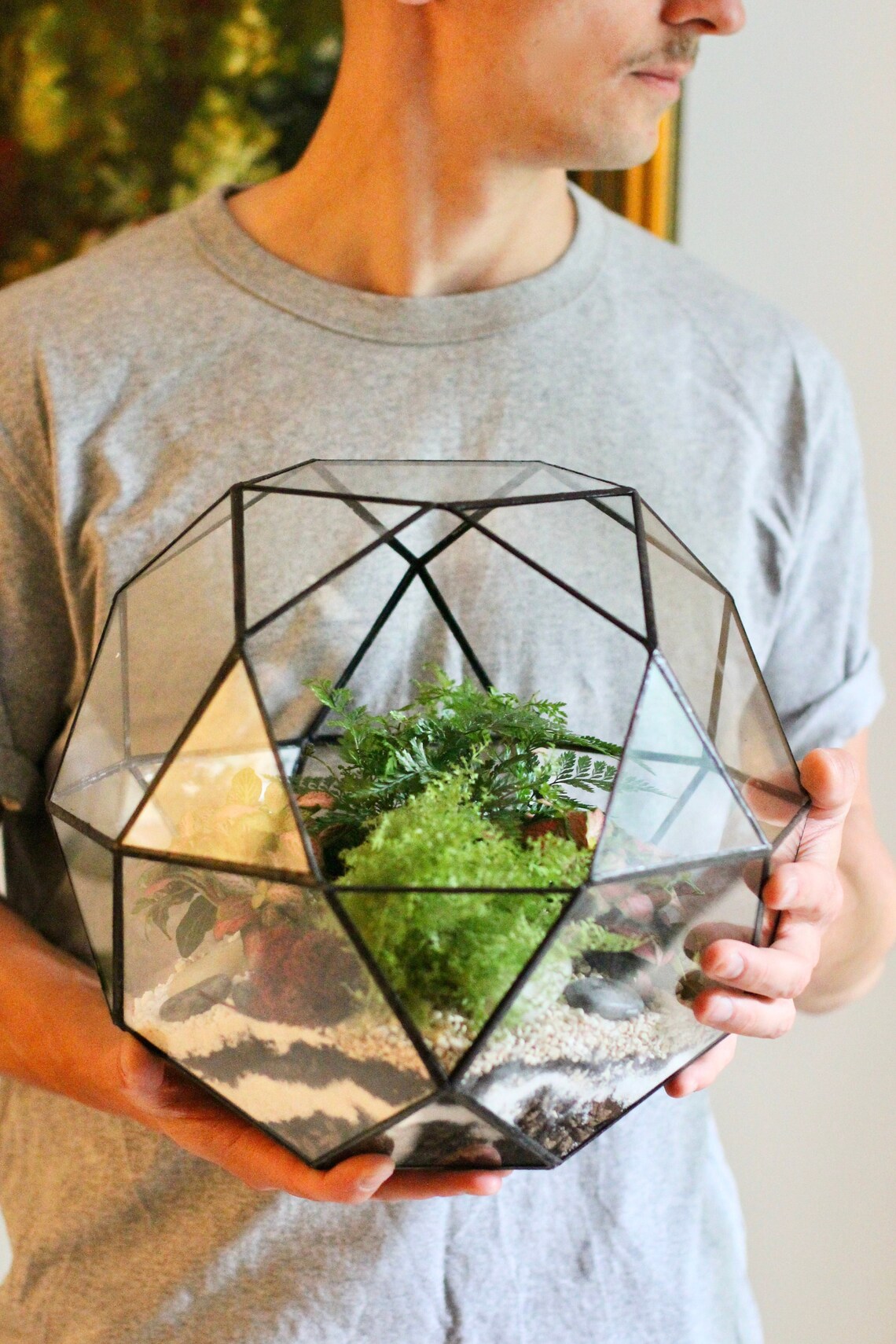 Succulent Glass Terrarium Florarium mars Home - Etsy