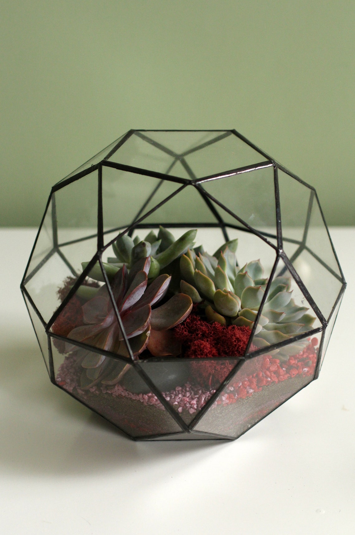 Succulent Glass Terrarium Florarium mars Home | Etsy
