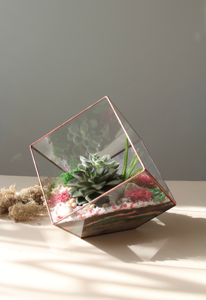 DIY Succulent Terrarium Kit, Handmade Glass Cube, Home Decor - Etsy