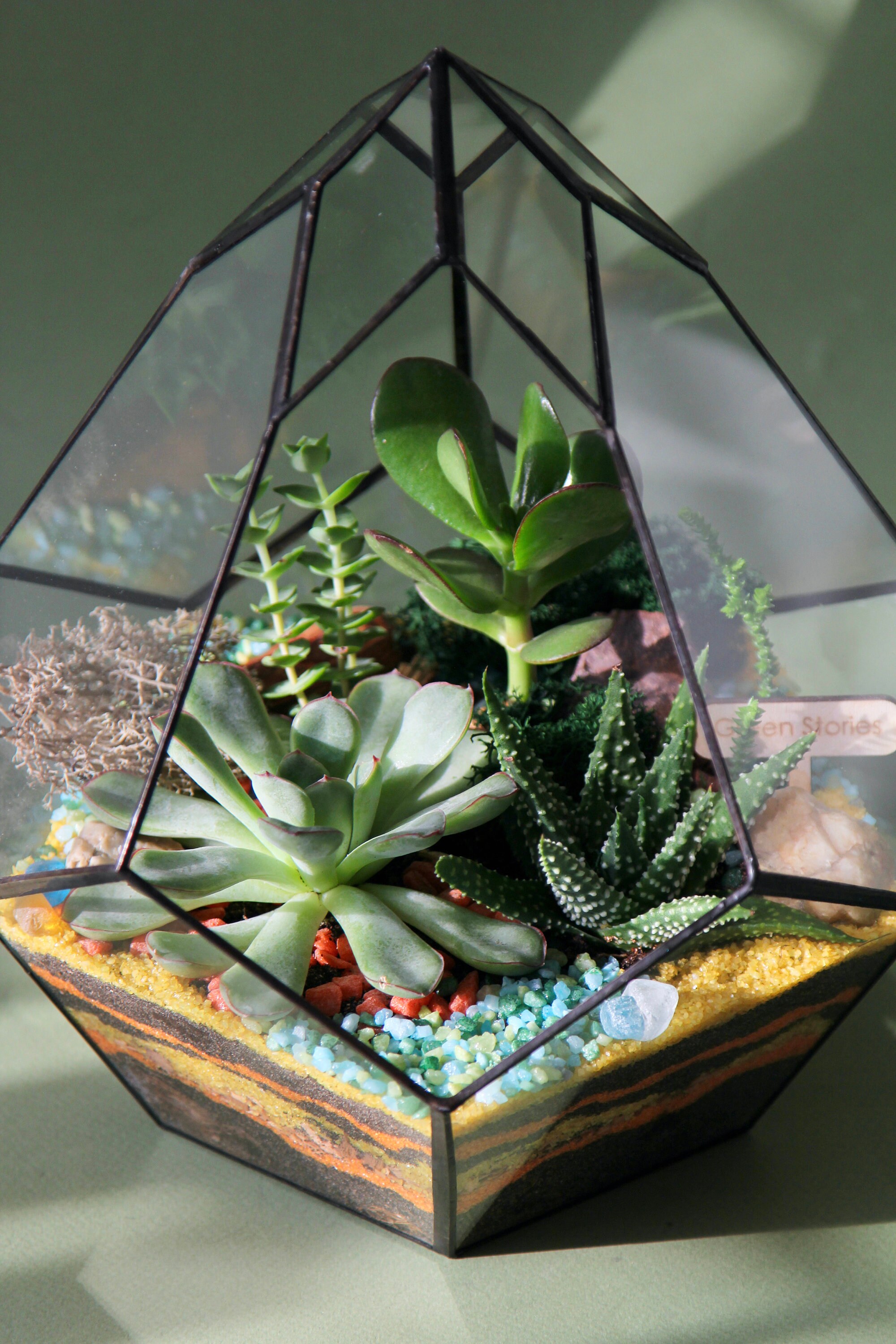 Geometric Glass Terrarium flower Bud Succulent - Etsy