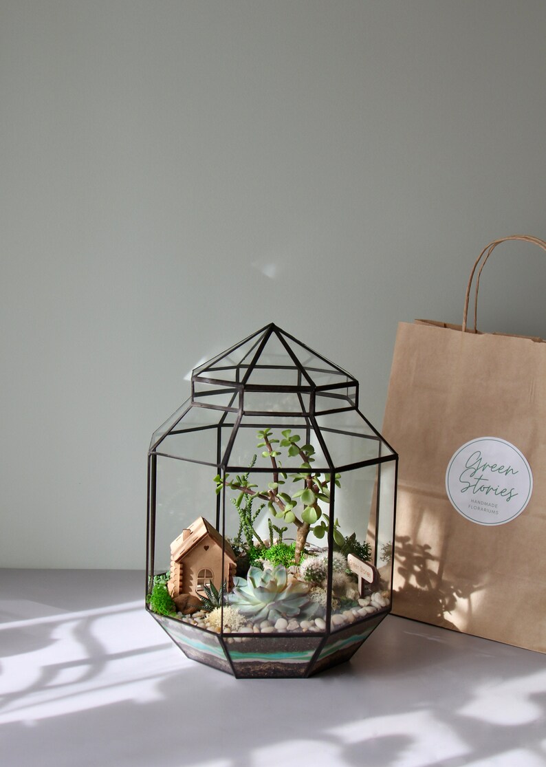 Glass Terrarium "startrack" – Living Room and Office Decor, Handmade ...