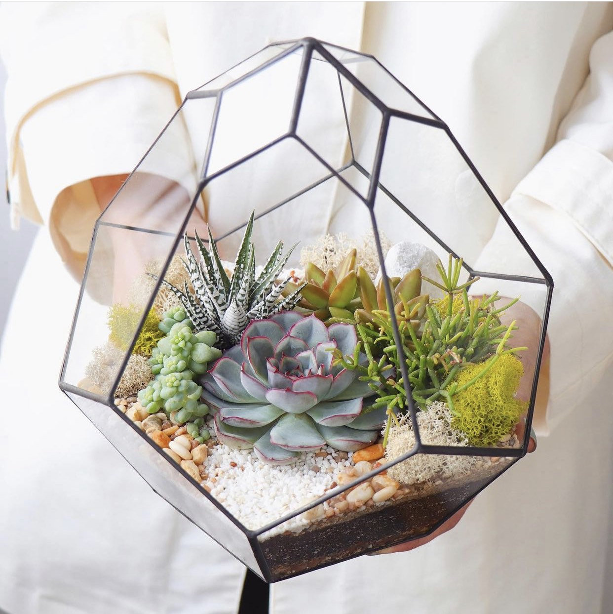 Geometric Glass Terrarium flower Bud Succulent - Etsy